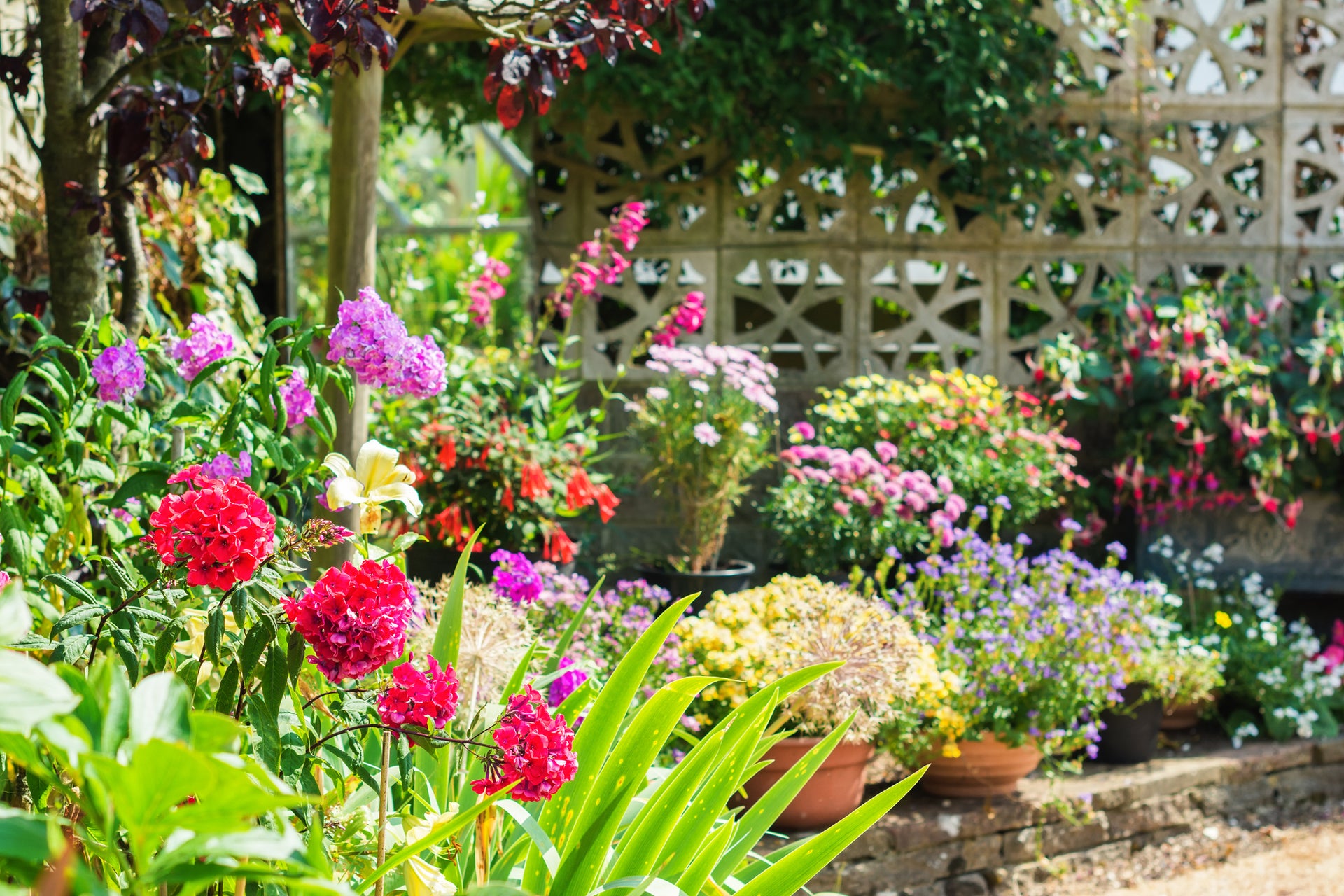 Gardening in January: A Fresh Start to a Flourishing Garden – Al's ...