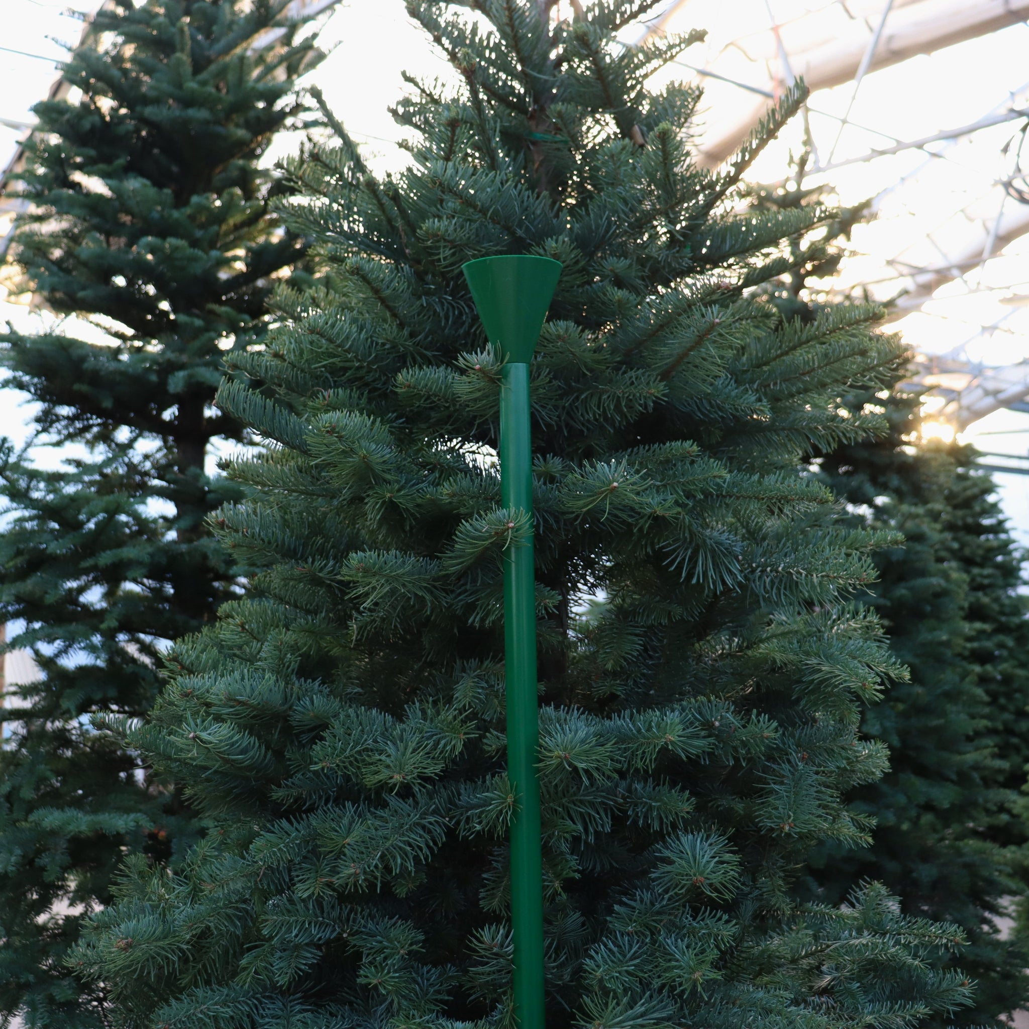 Christmas Tree Watering Funnel – Al's Garden & Home