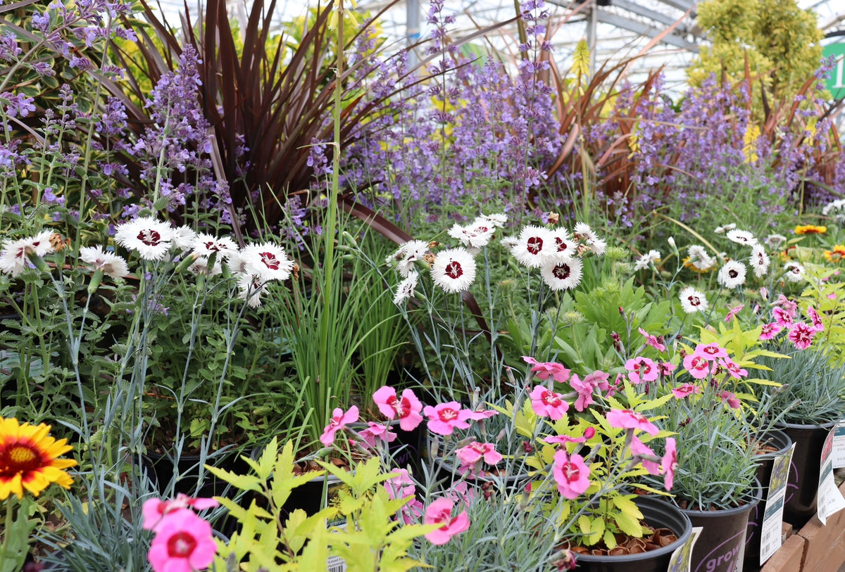 Al S Garden Center Greshamnull