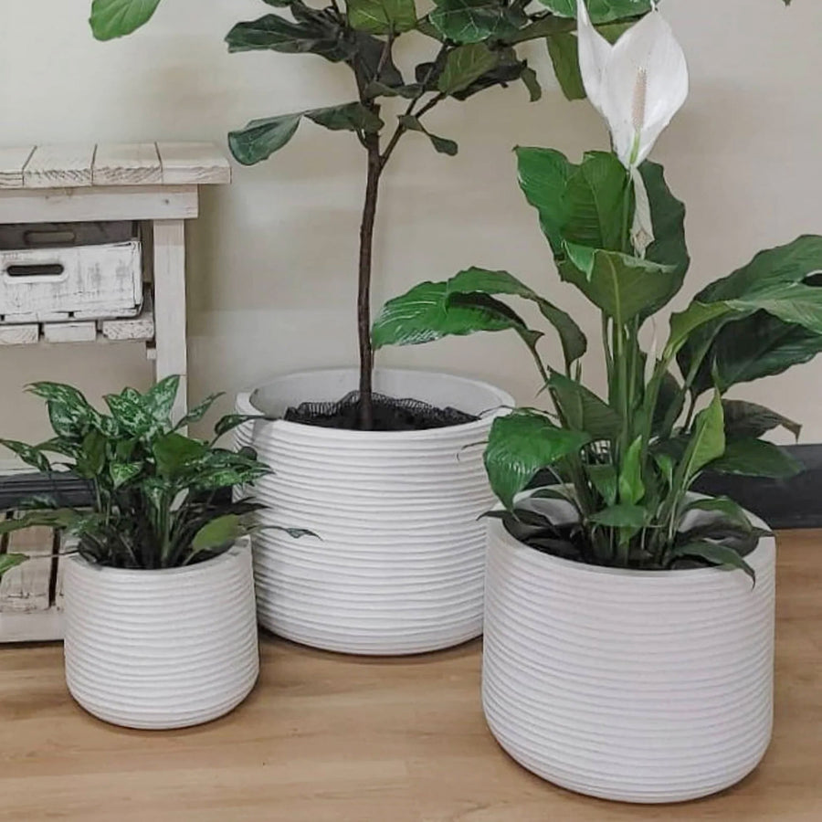 Outdoor Pottery - Al's Garden and Home in Portland, OR – Al's Garden & Home