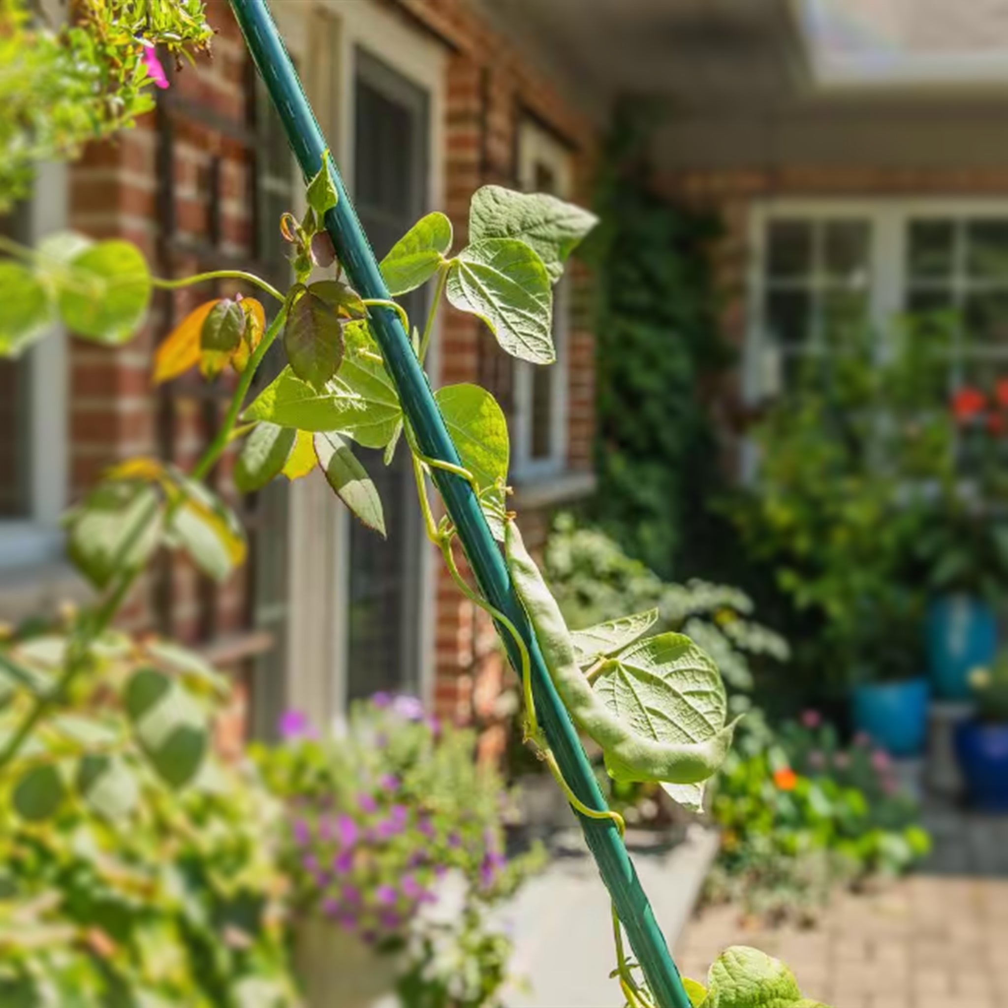 Bond® Heavy-Duty Super Steel Stake - Green – Al's Garden & Home