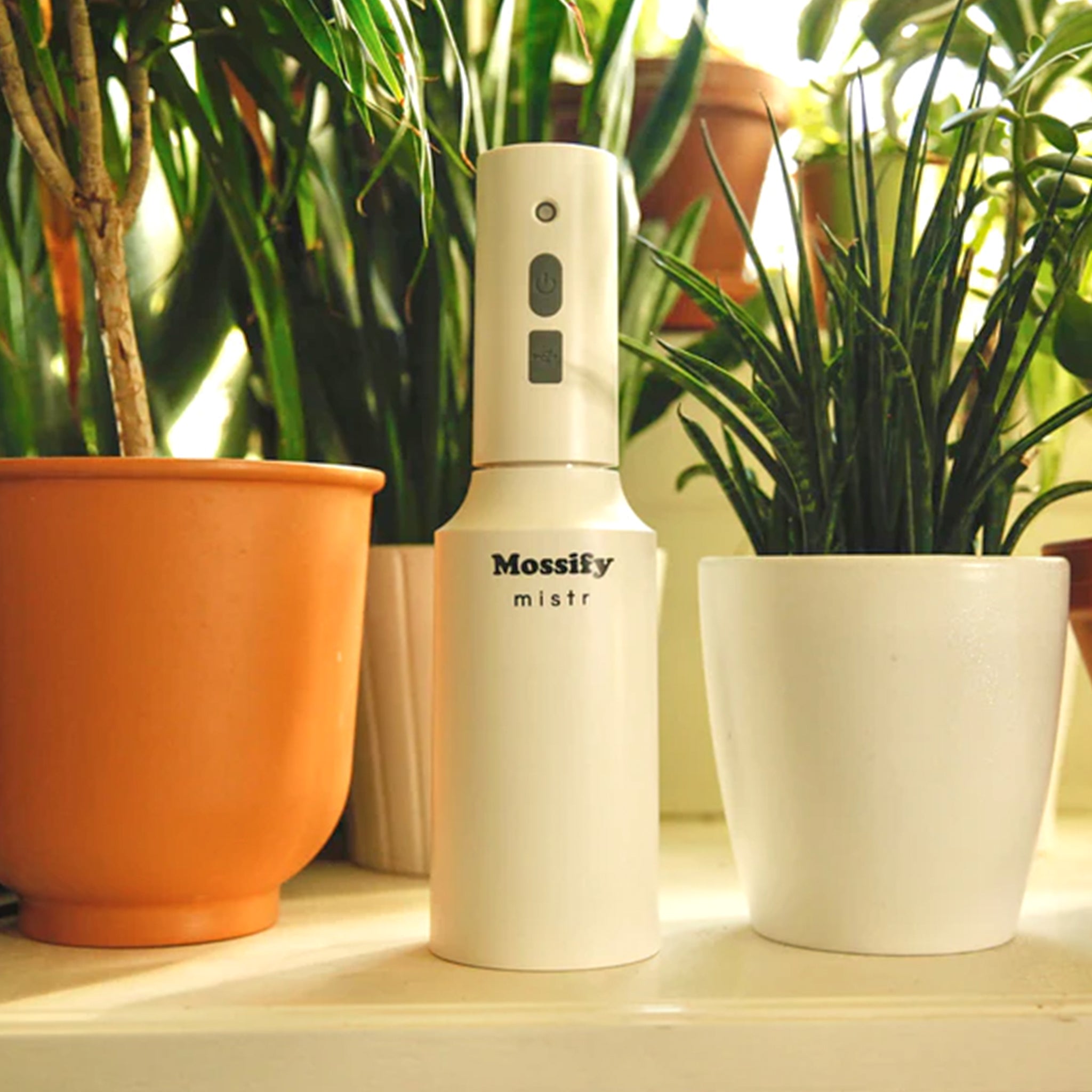 The Original Mossify Mistr™ – Al's Garden & Home